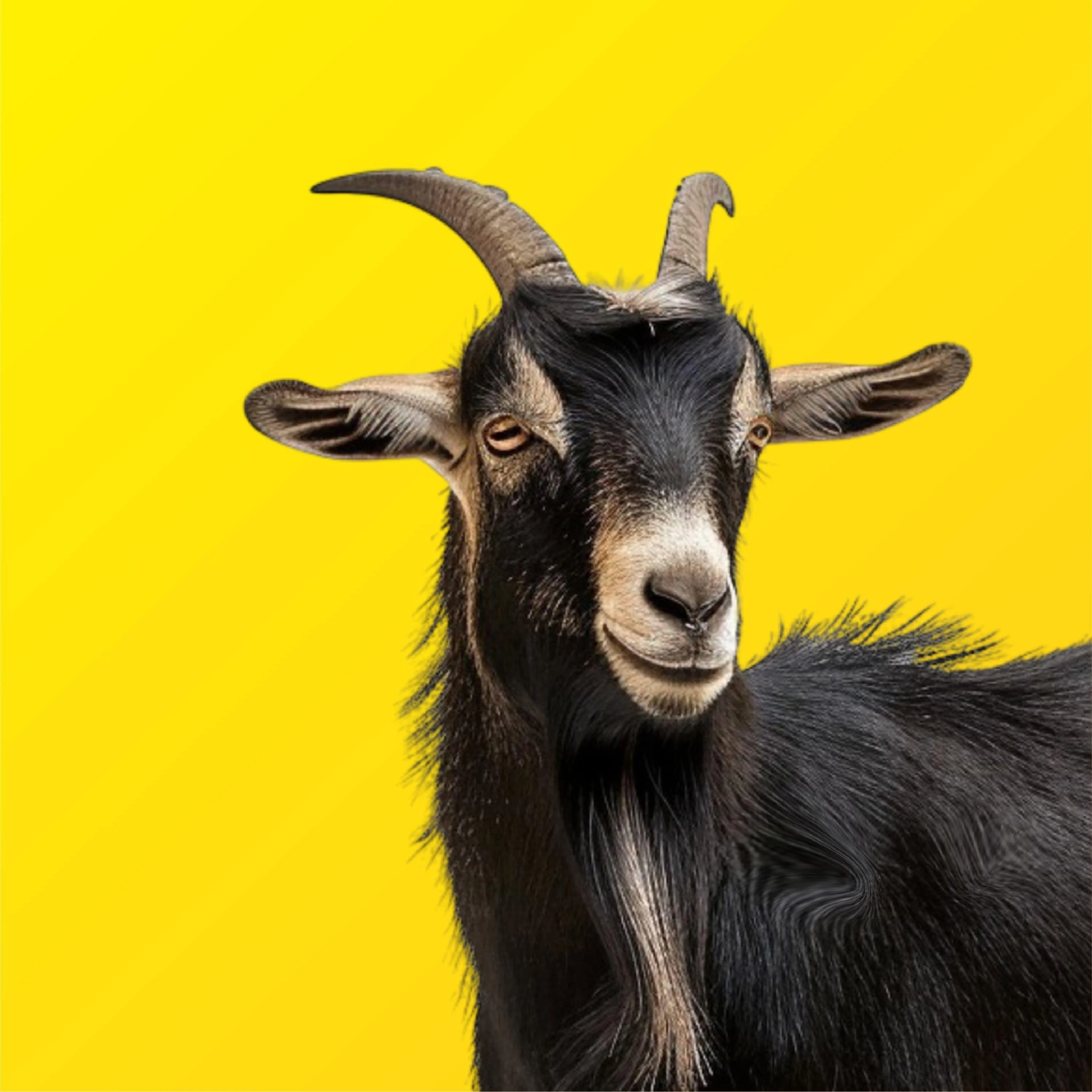 Animal Farm & Mini Zoo at Kampung Agong Penang | Family Holiday Tourism